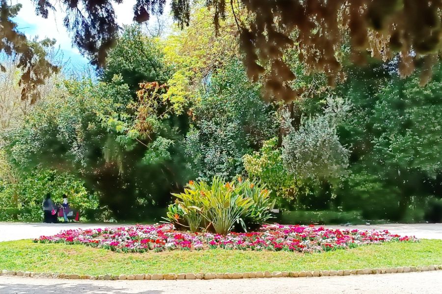 Ο Εθνικός μας Κήπος - Just a Number